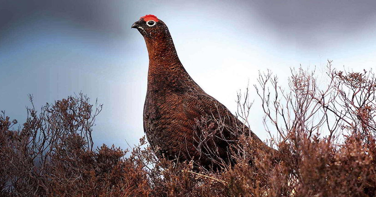 Hen Weekends in 50 Awesome Hen Do Destinations