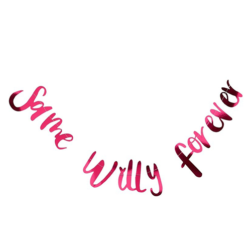 UK's Biggest Selection of Hen Night Banners - 35 to choose from | Last ...